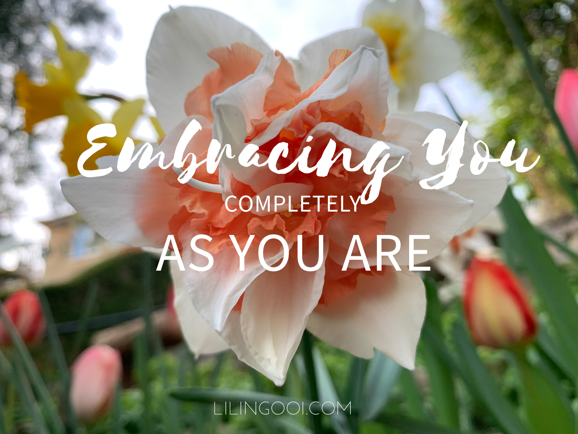 Embracing You Completely As You Are – Li-ling Ooi