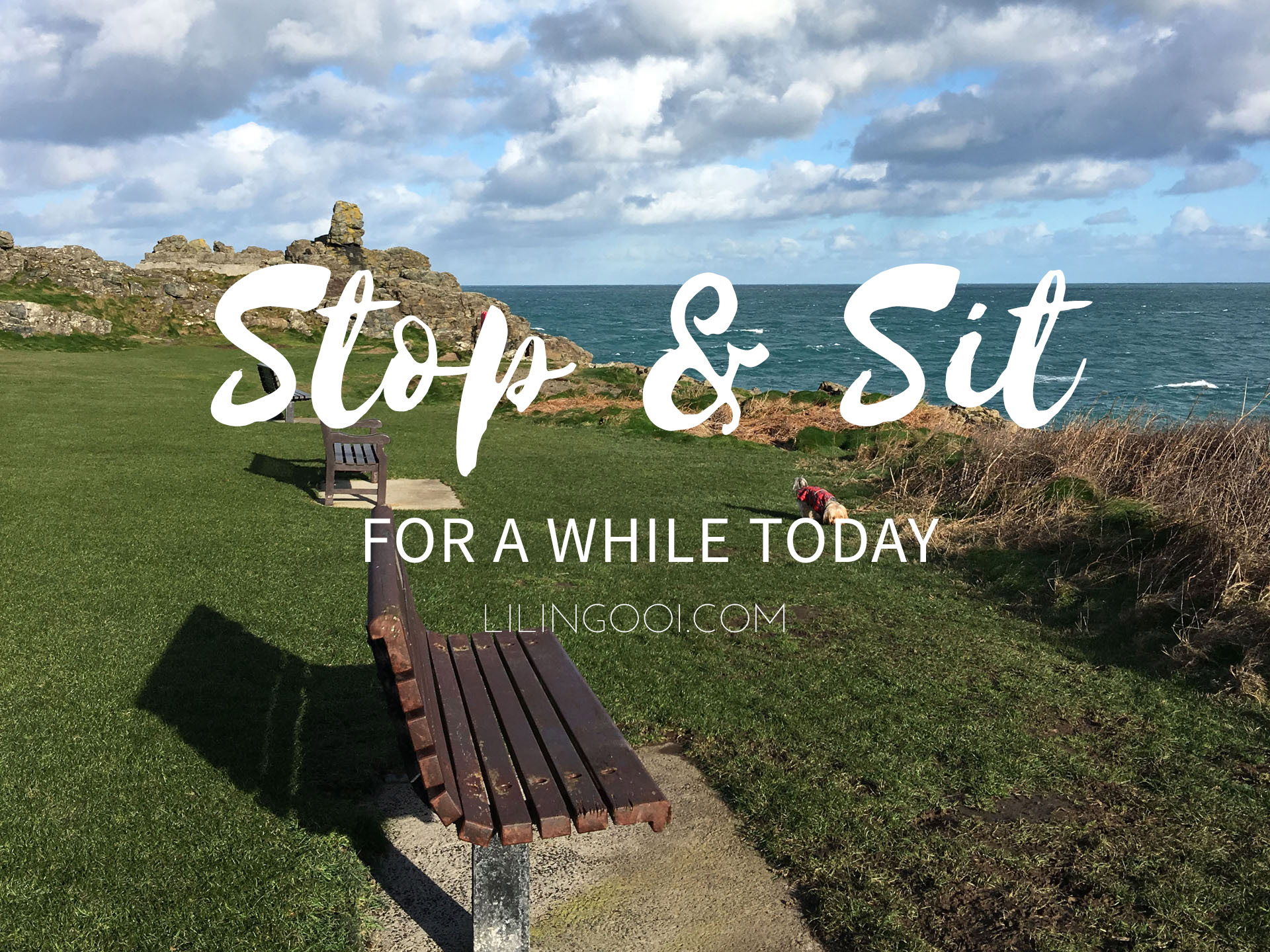 Stop and Sit For A While Today – Li-ling Ooi