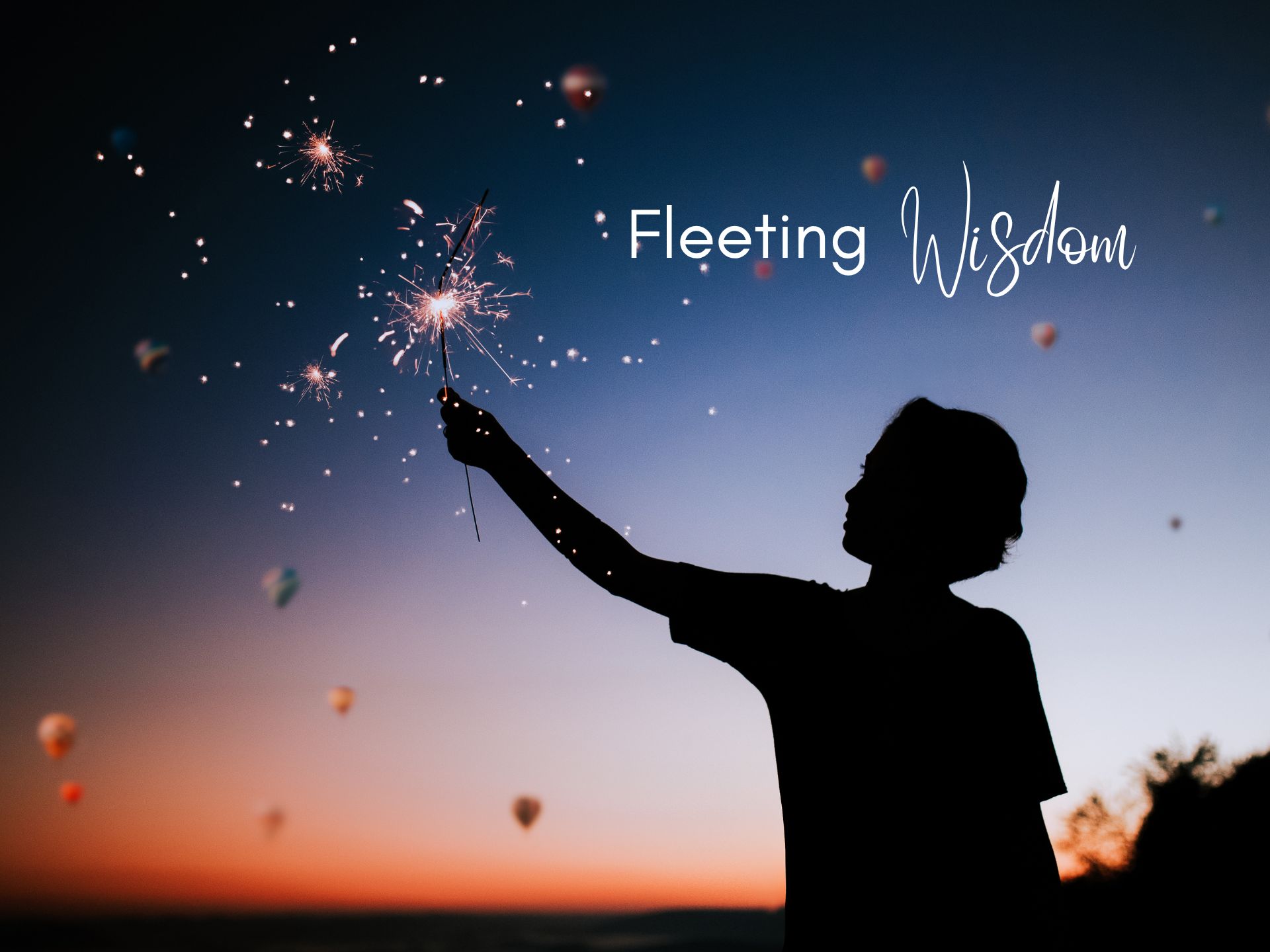 Fleeting wisdom - Li-ling Ooi